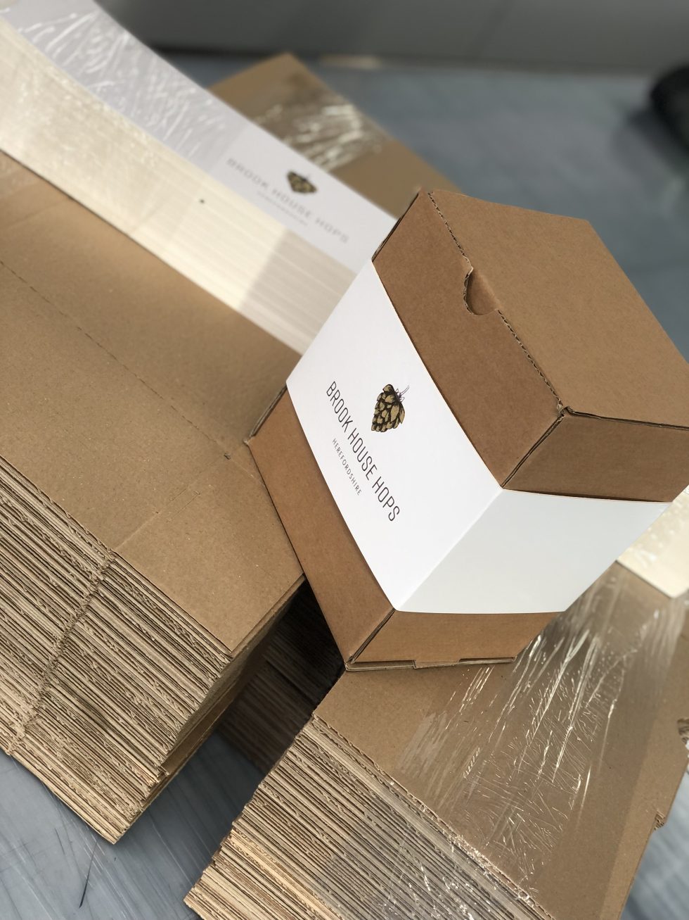 Bespoke Packaging | Ocean Blue Graphics